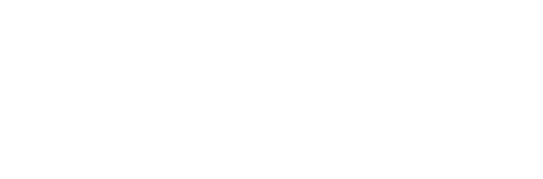 BURLINGTON PROFESSIONAL MODULES COMMERCE & SALES